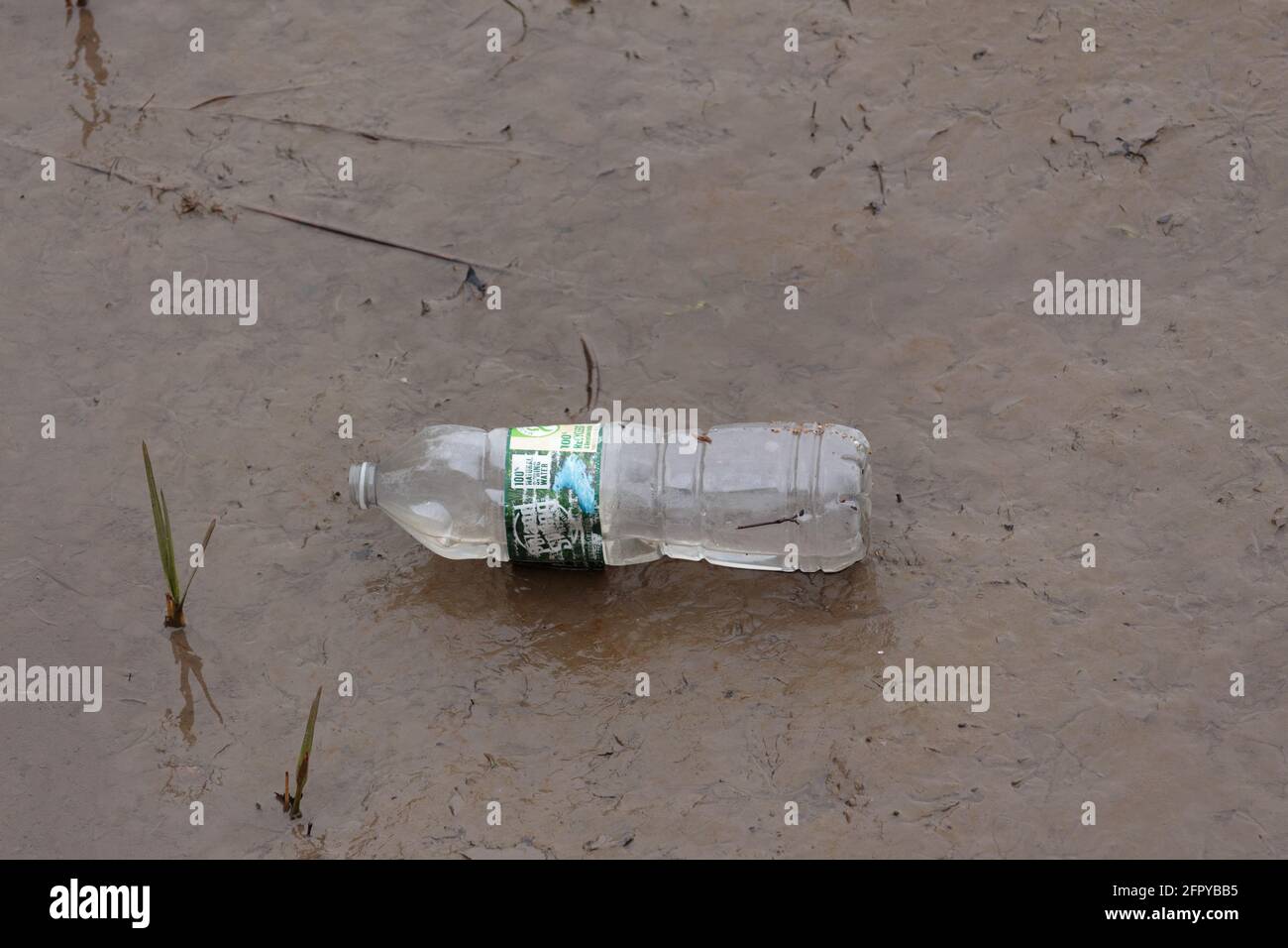 a discarded plastic water bottle in mud, a symbol of plastic waste ...