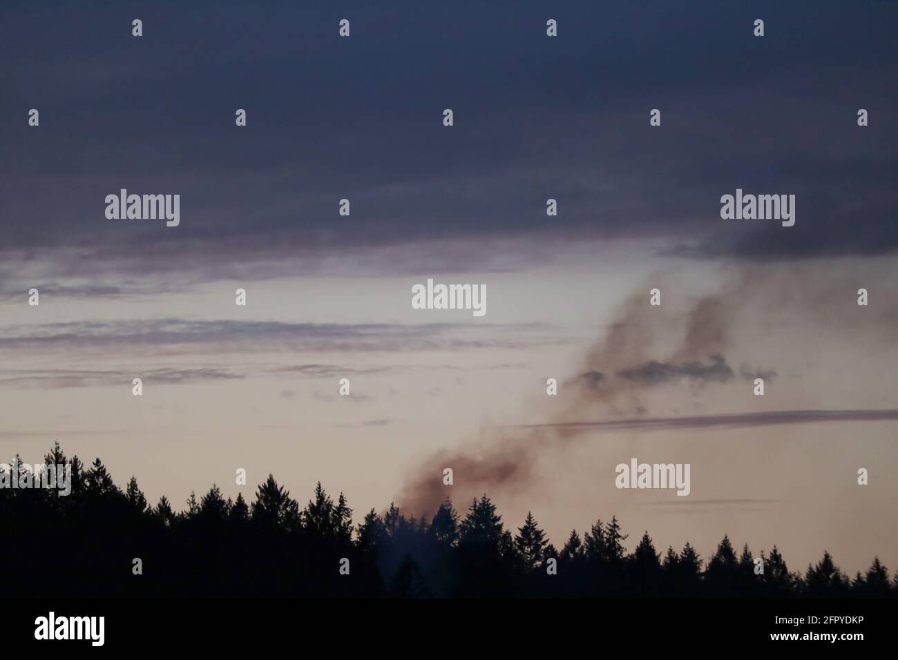 a small isolated pillar of smoke rising from the dark forest canopy at ...