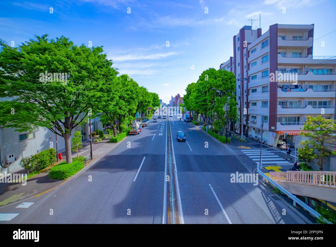 A timelapse of downtown street at the avenue daytime wide shot Stock ...
