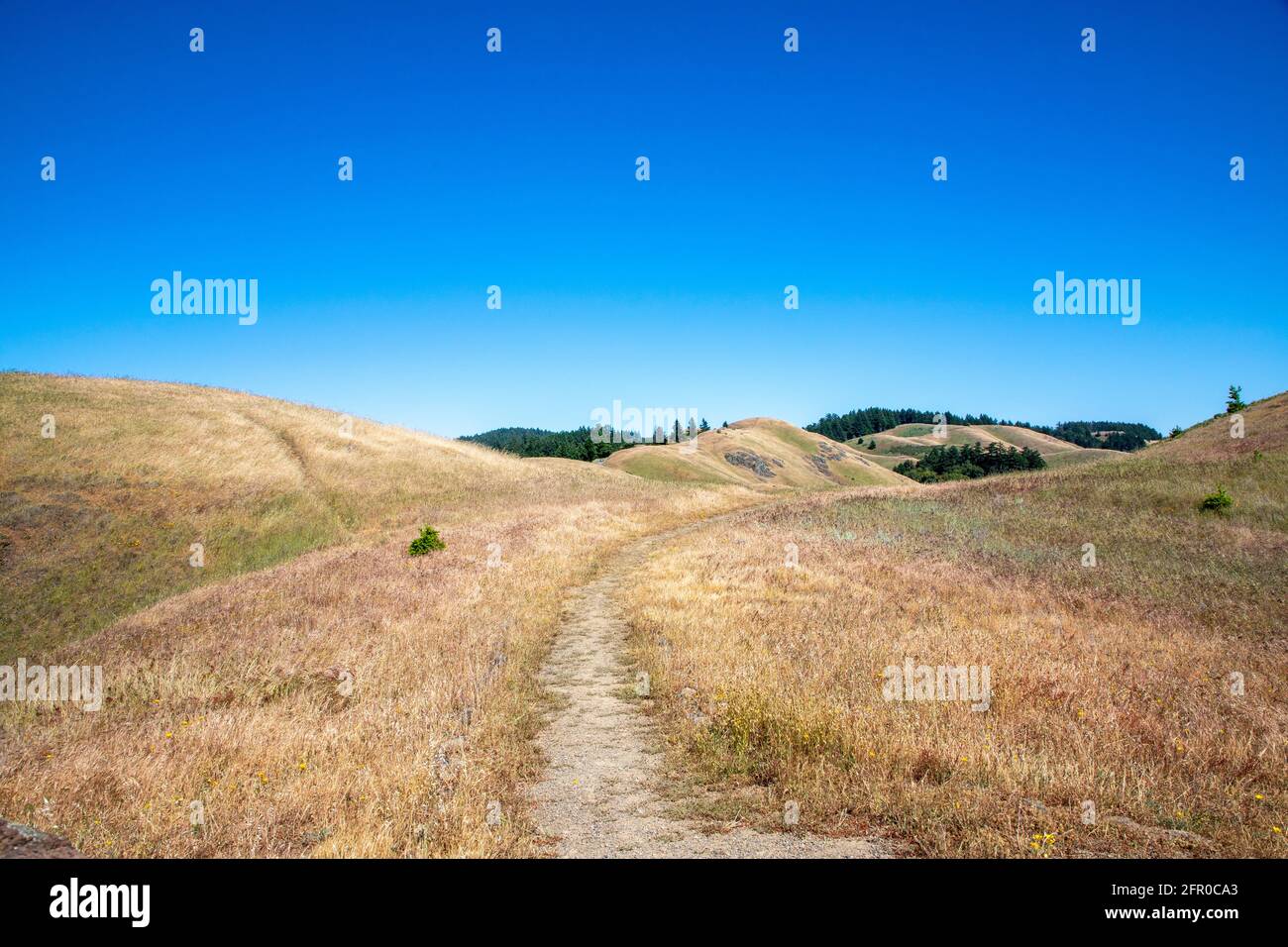 Pathways to walk and hike on Mt. Tamalpais in Marin County, in northern ...