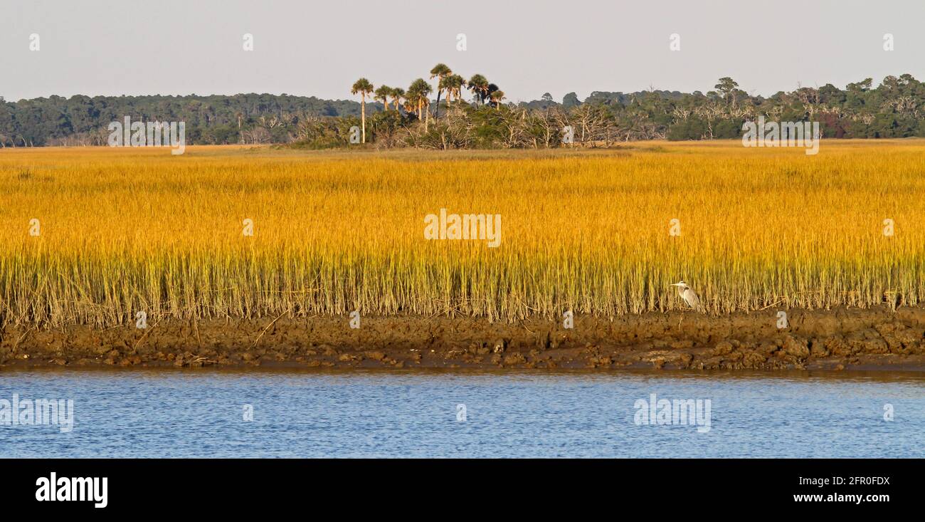 Wetlands marsh hi-res stock photography and images - Alamy