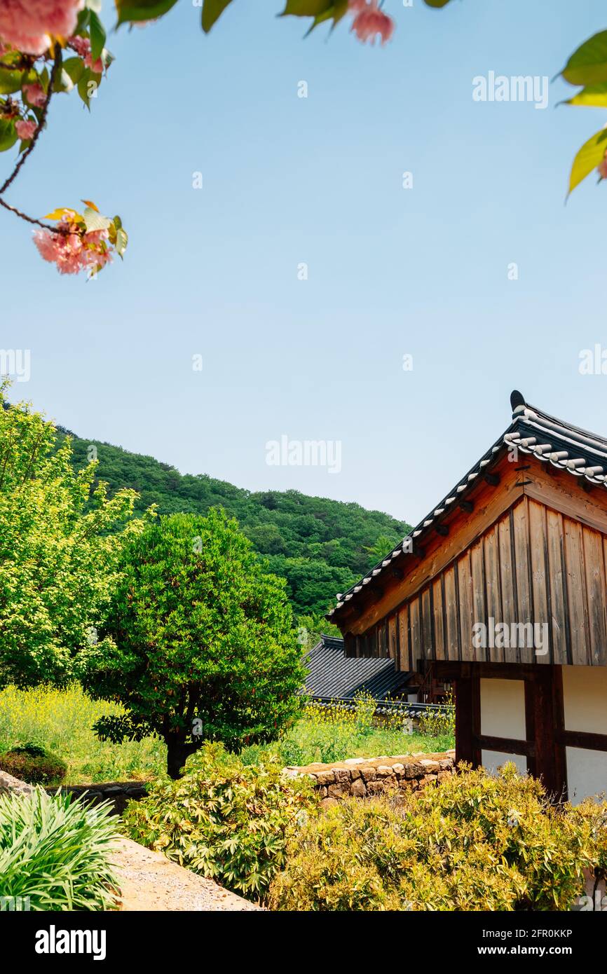 Jogyesan mountain Seonamsa Temple at spring in Suncheon, Korea Stock ...