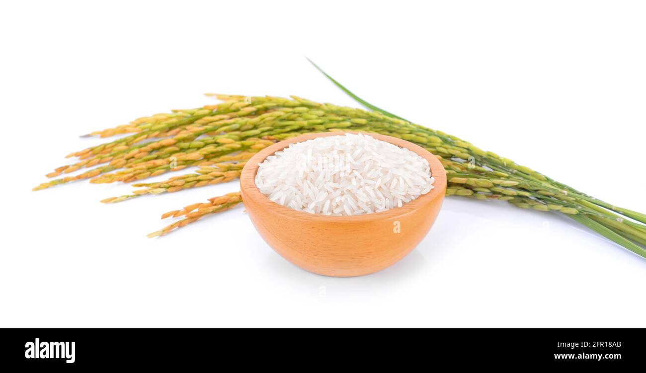 rice plant isolated on white background Stock Photo - Alamy
