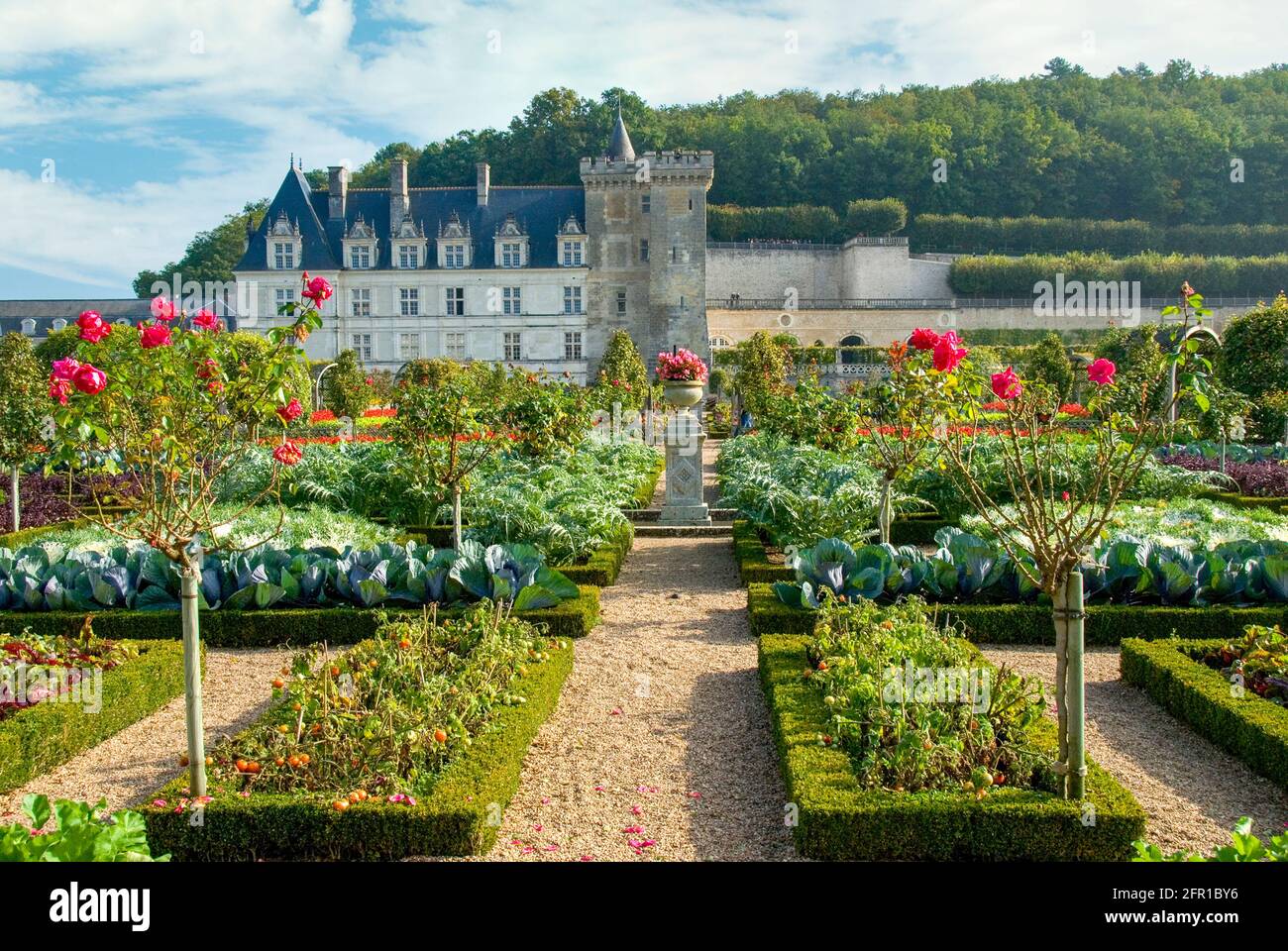 Chateau de Villandry Gardens, Loire Valley, France Stock Photo - Alamy