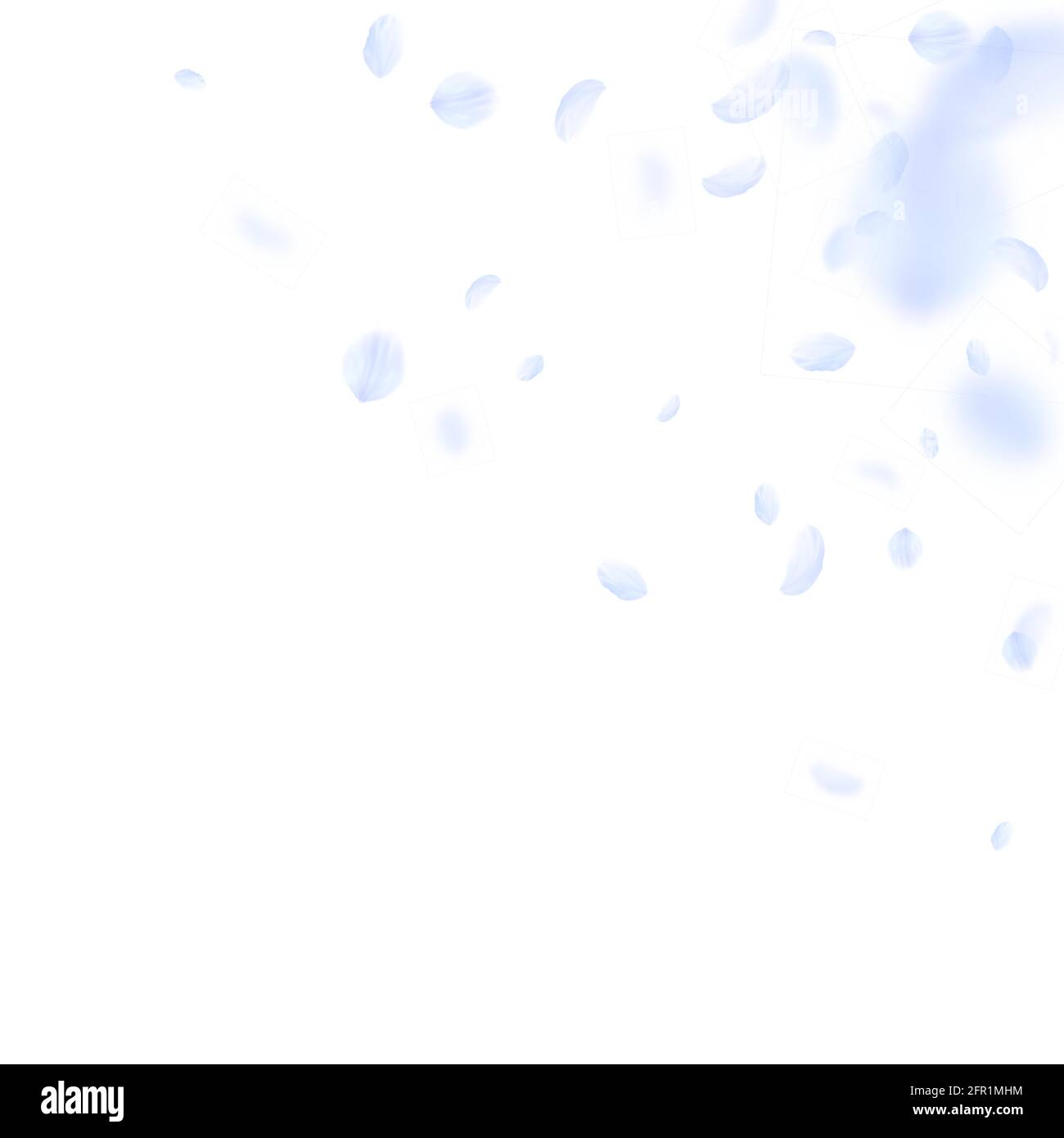 Lite Blue Flower Petals
