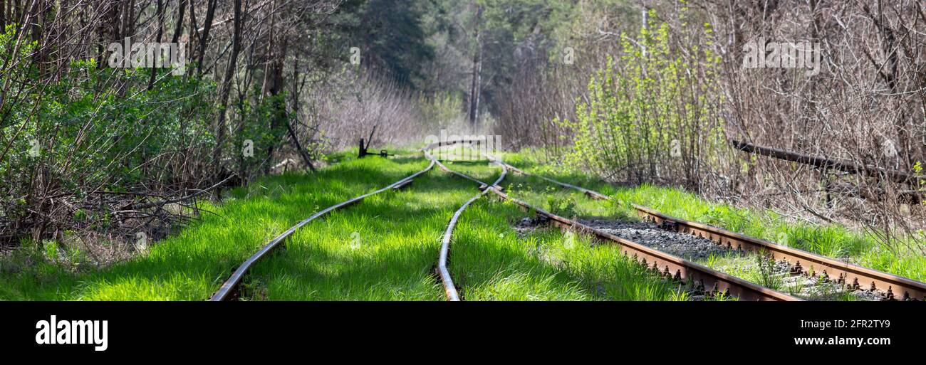 Old railway tracks overgrown with grass. Railway rails on which the ...