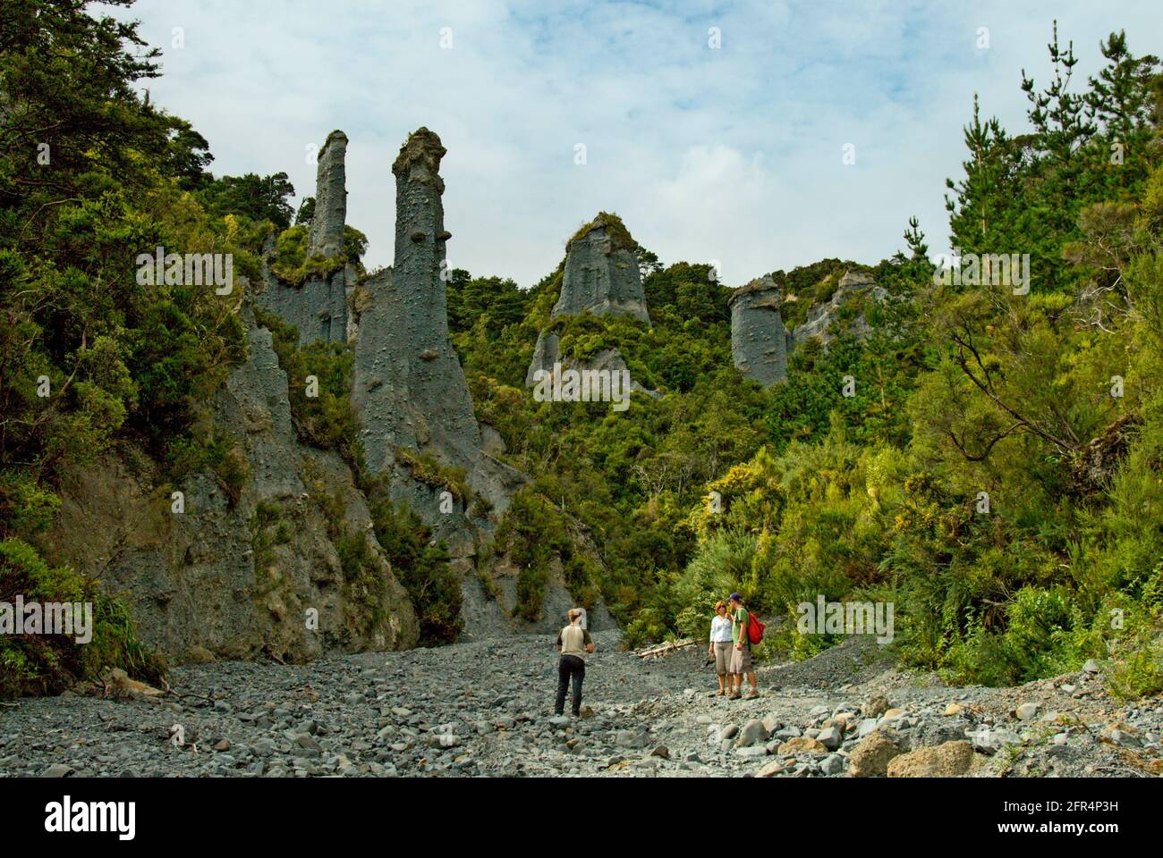 Putangirua Pinnacles, North Island, New Zealand Stock Photo - Alamy