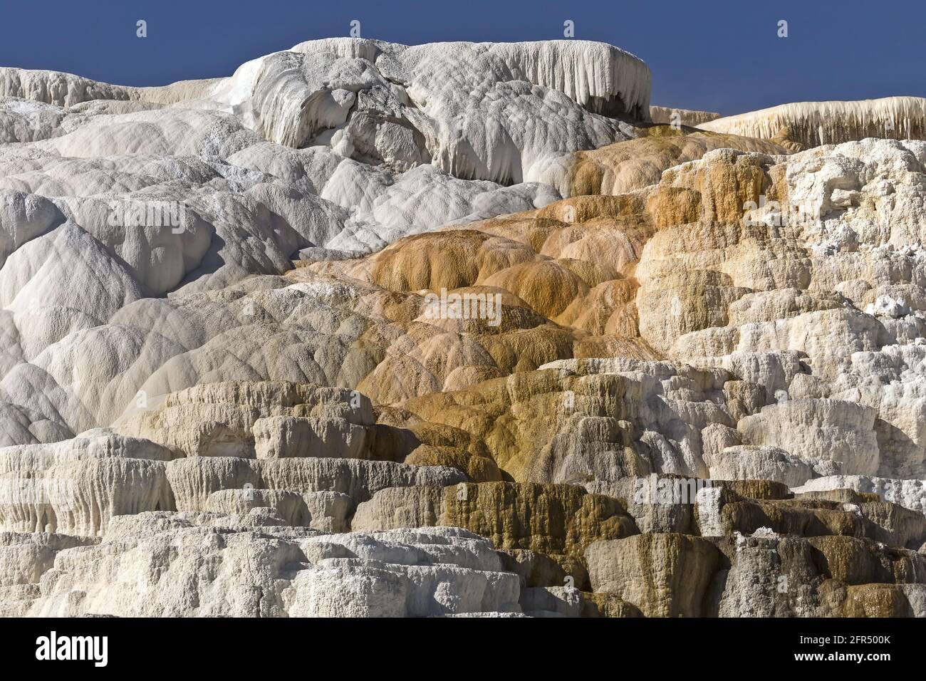 Mammoth Hot Springs, Lower Terraces area in Yellowstone National Park ...