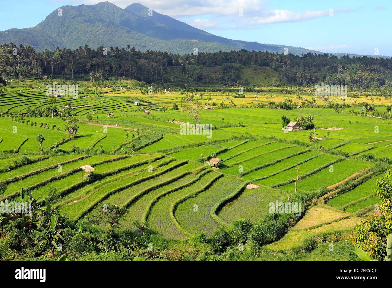 Terraced rice paddies hi-res stock photography and images - Alamy