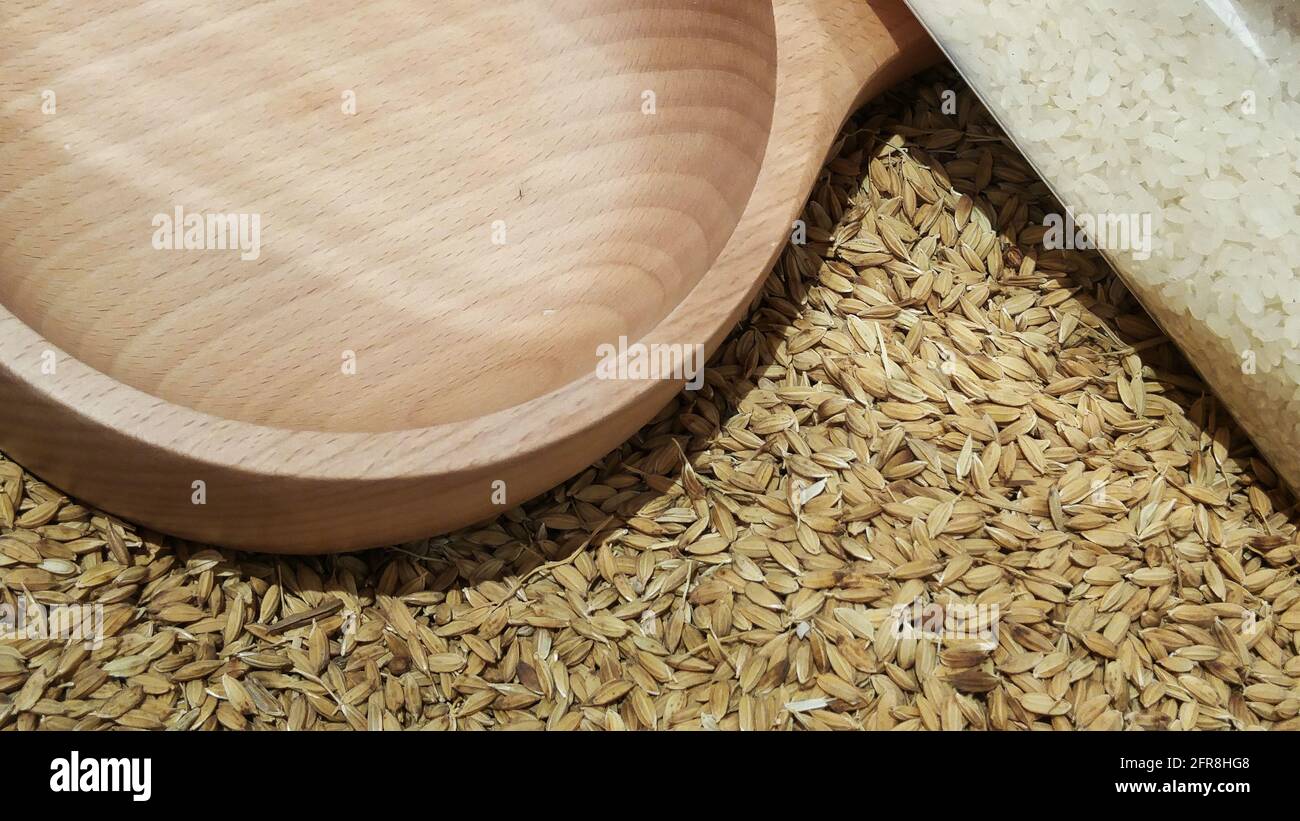 Processing rice hi-res stock photography and images - Alamy