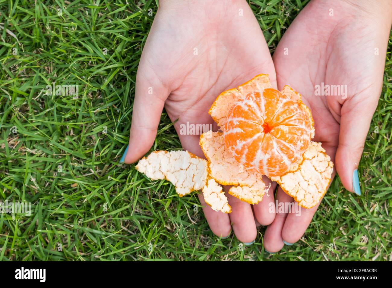 Womans hand peeling orange fruit hi-res stock photography and images ...