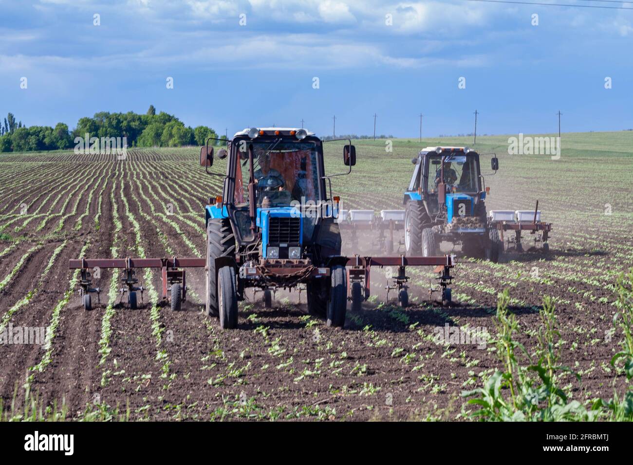 field work in agriculture. farmer's tractor harrows the field after ...