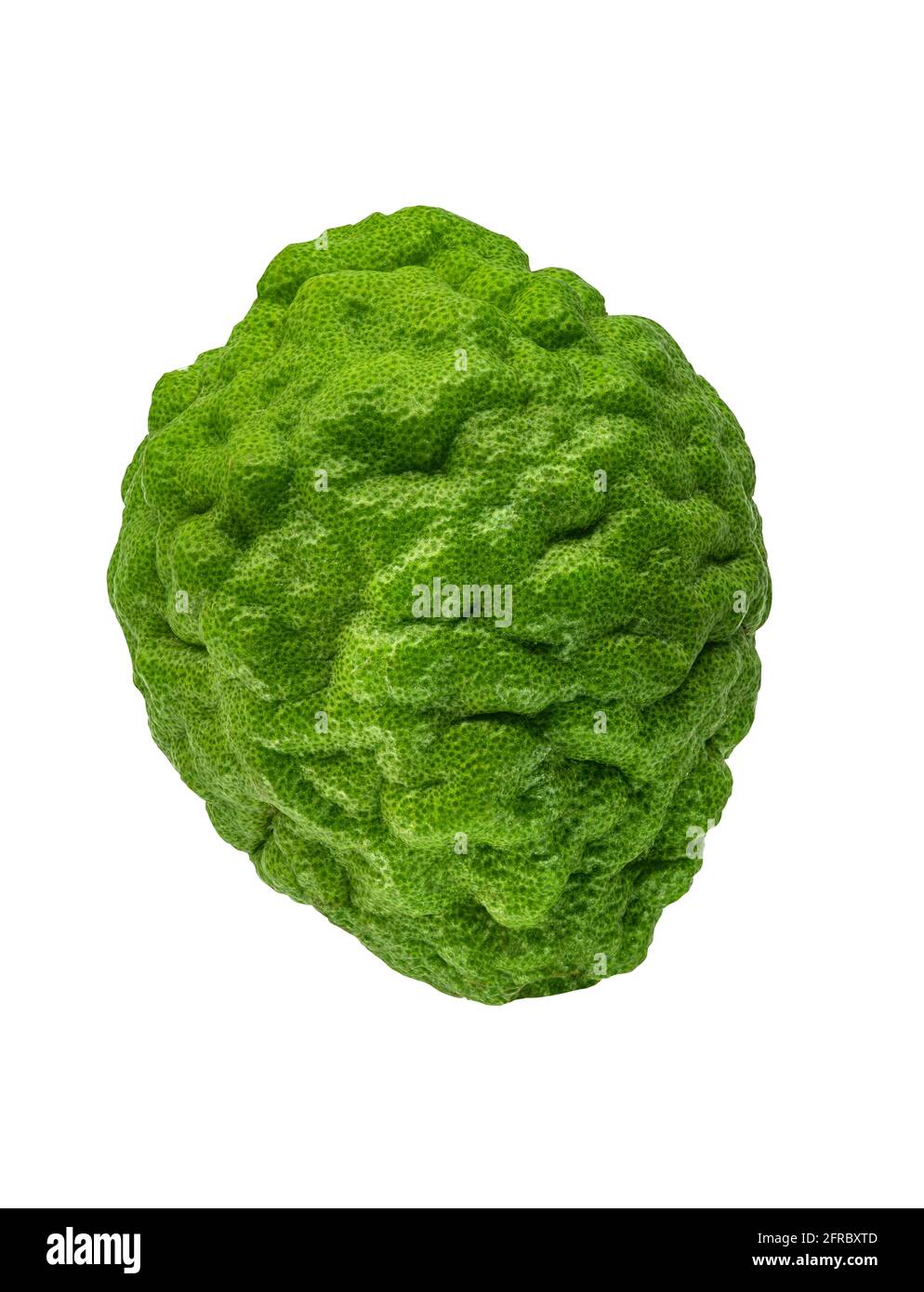 Isolated whole fresh bergamot fruit on white background, close up ...
