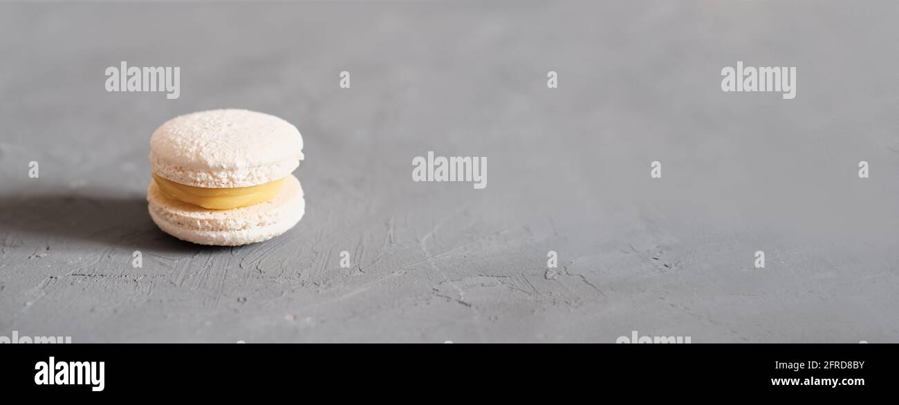 one macaroon on a grey background. minimal style food. french macaron ...