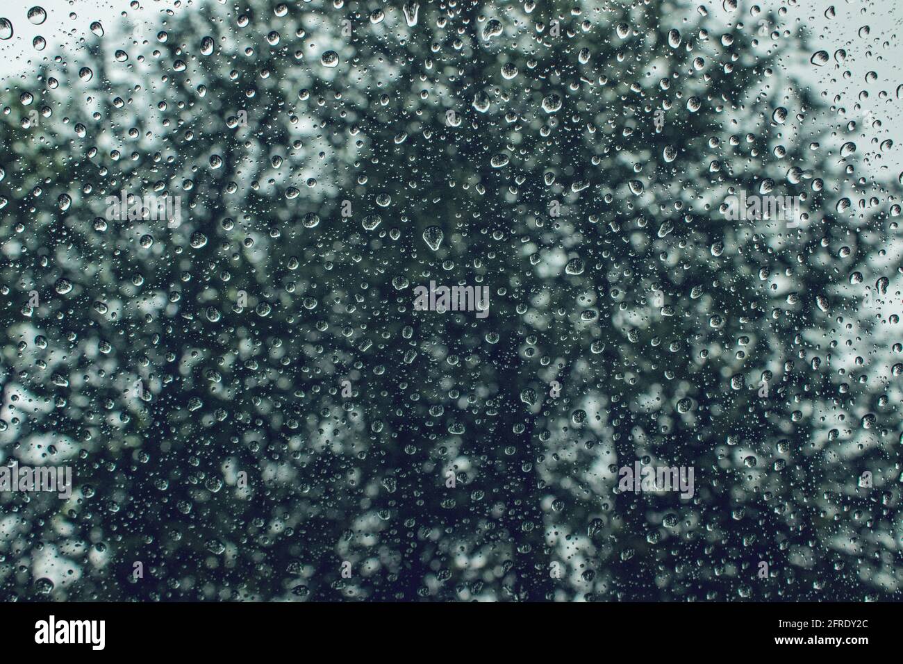 Droplets in nature hi-res stock photography and images - Alamy