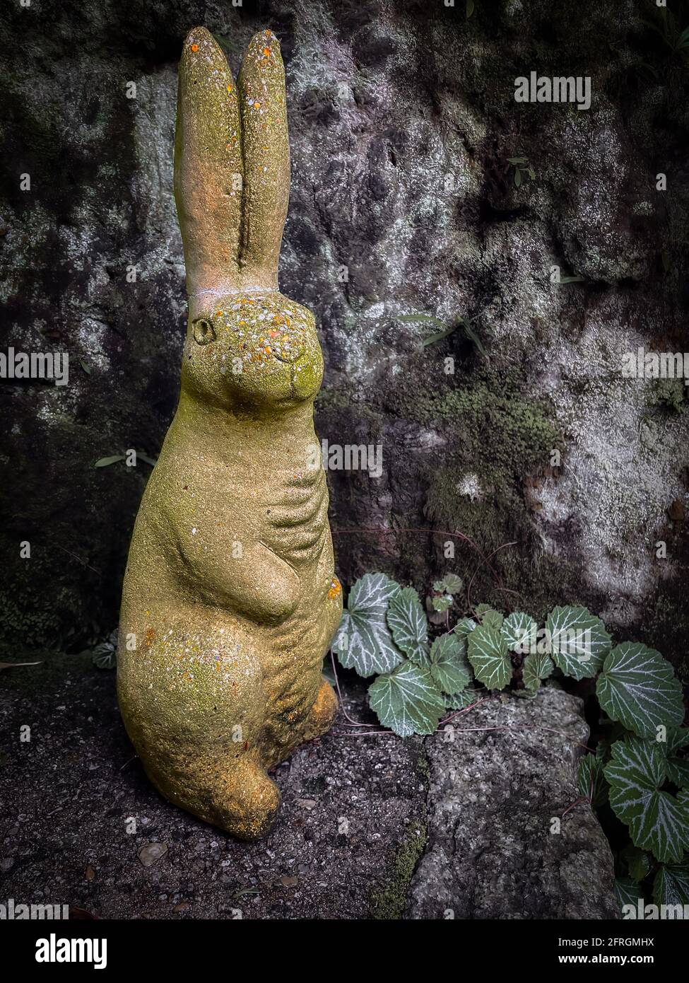 Rabbit temple hi-res stock photography and images - Alamy