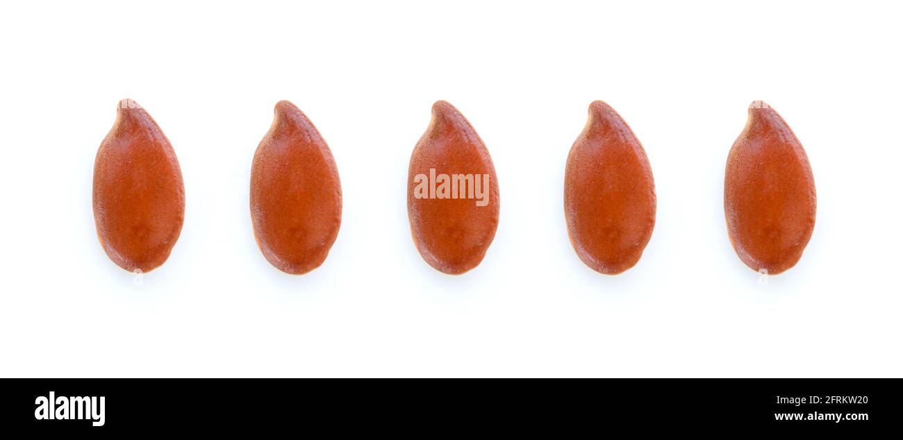 seed flex on white background Stock Photo - Alamy