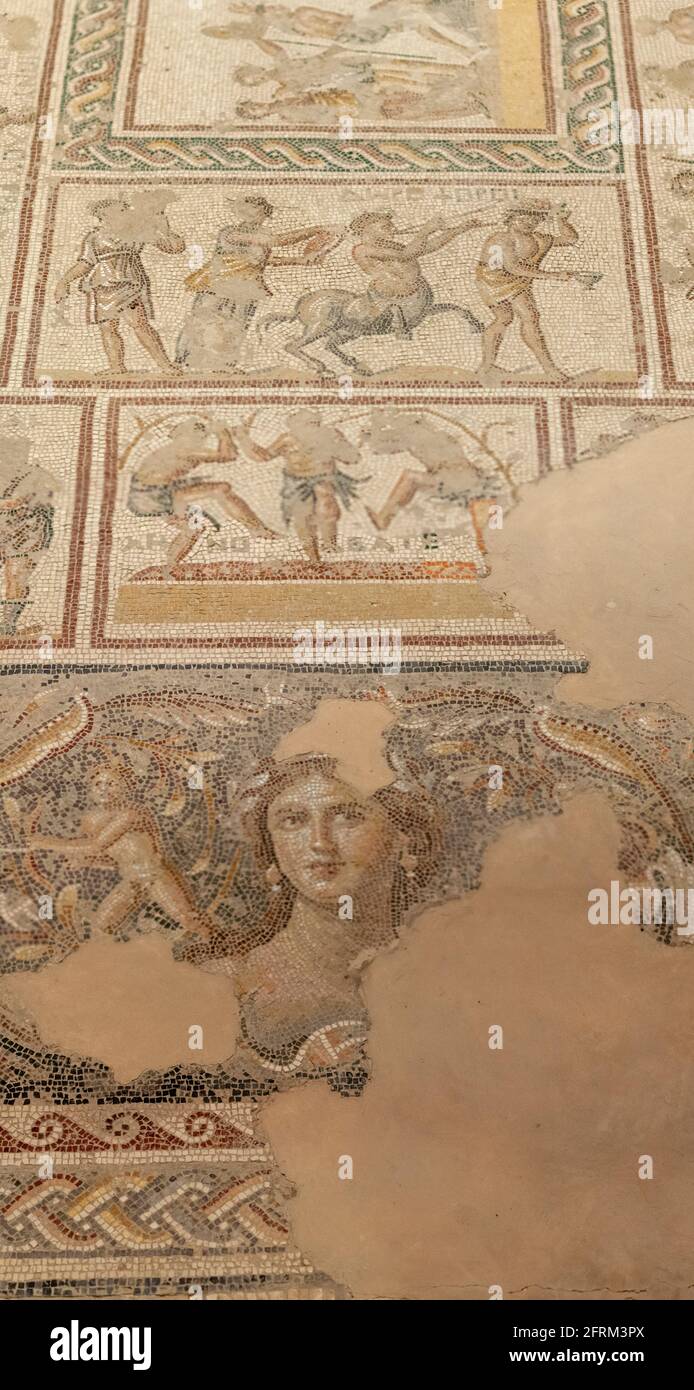 Details of scenes from The Wedding of Dionysus and Ariadne AKA Dionysus ...