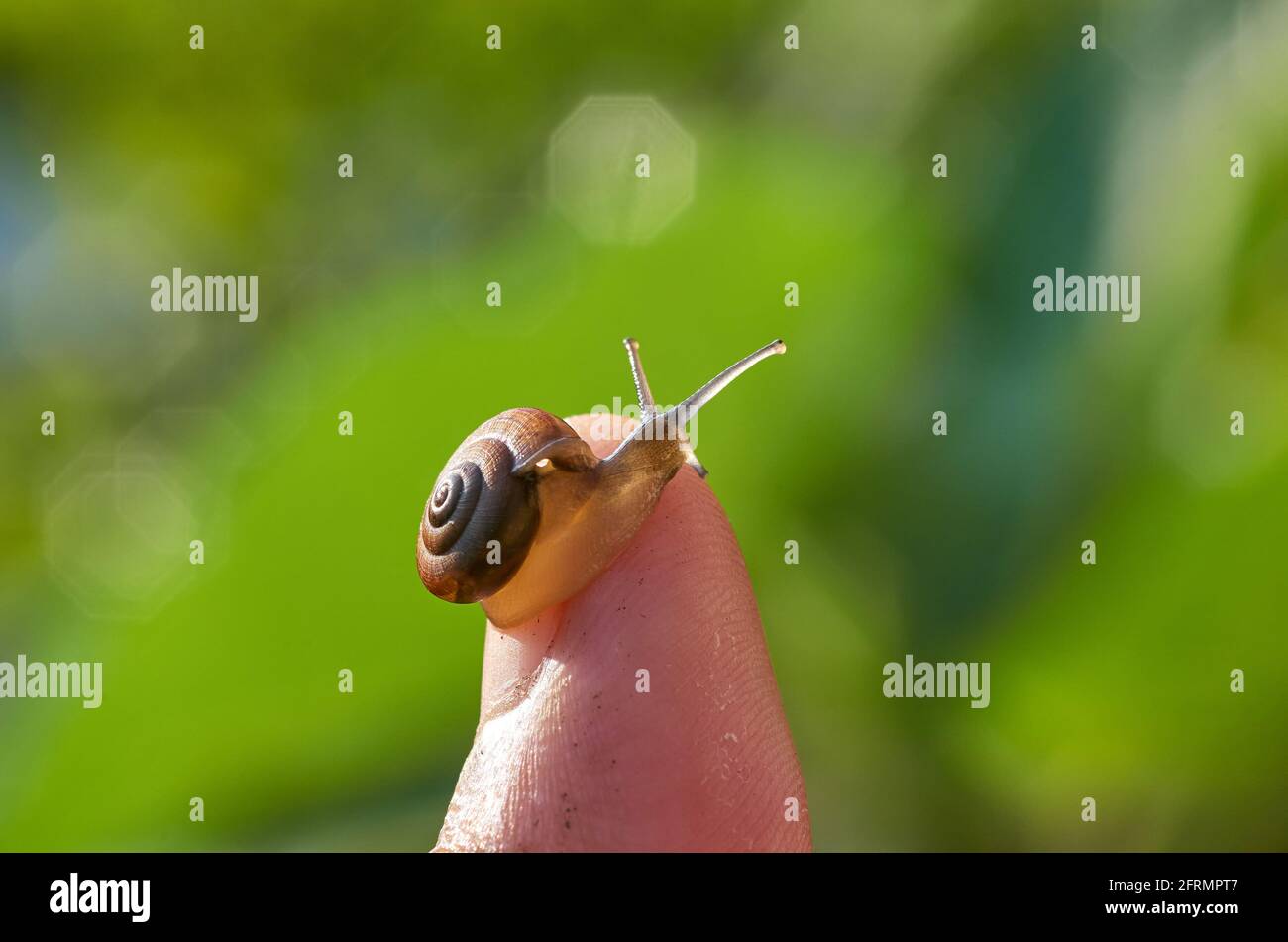 Finger climbing hi-res stock photography and images - Alamy