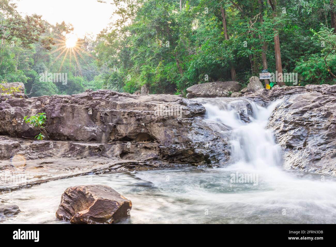 forest waterfall on sunset, Nature Stock Photo - Alamy