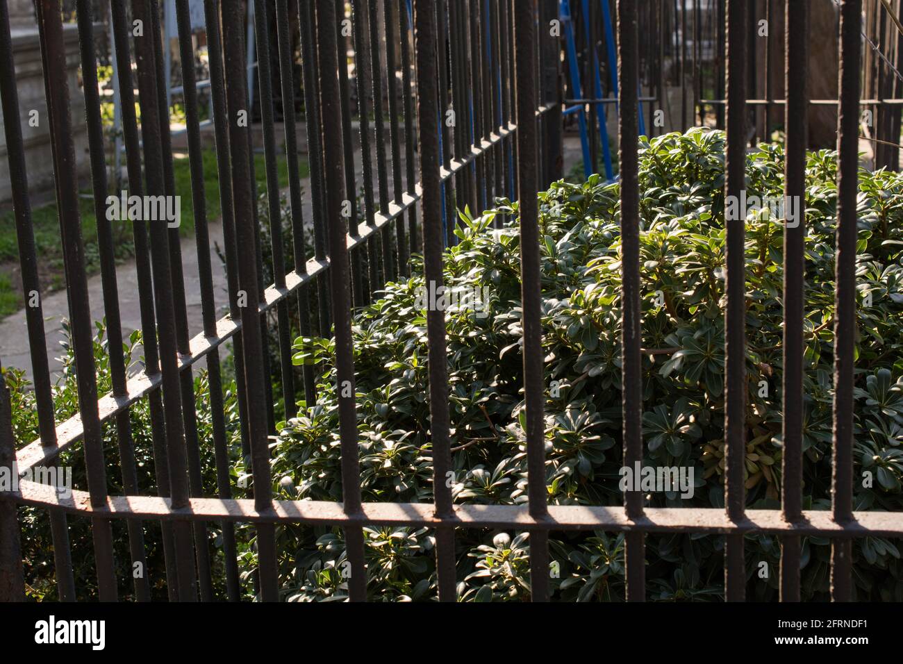 Metal bars as Backdrop and background texture details Stock Photo - Alamy