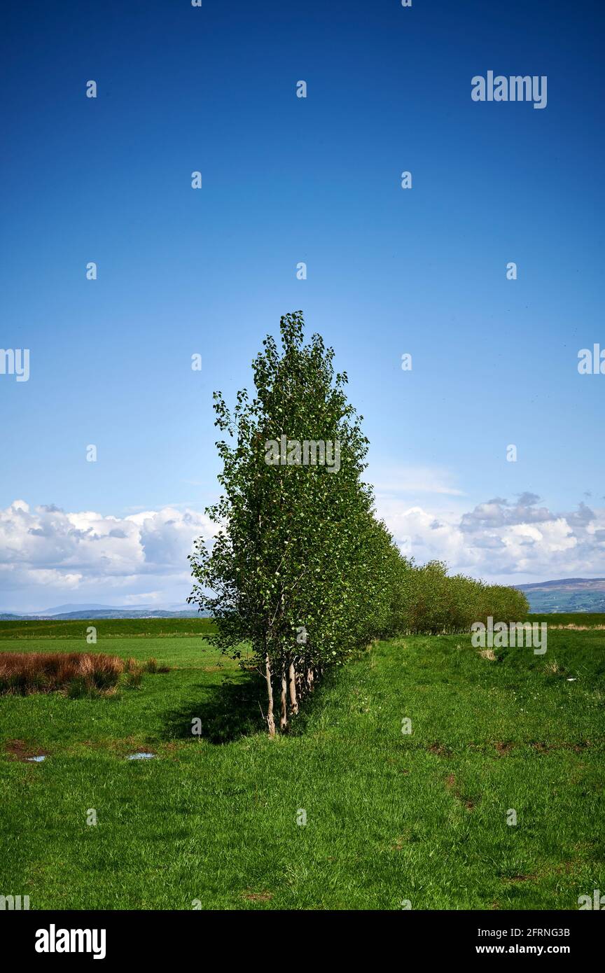 Seperating hi-res stock photography and images - Alamy