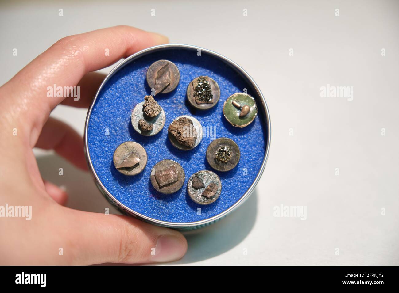Scientific hand holding a box with scanning electron microscope samples ...
