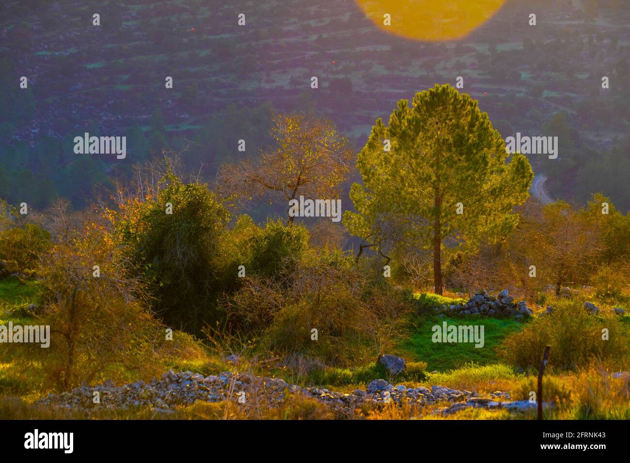 Sataf hi-res stock photography and images - Alamy