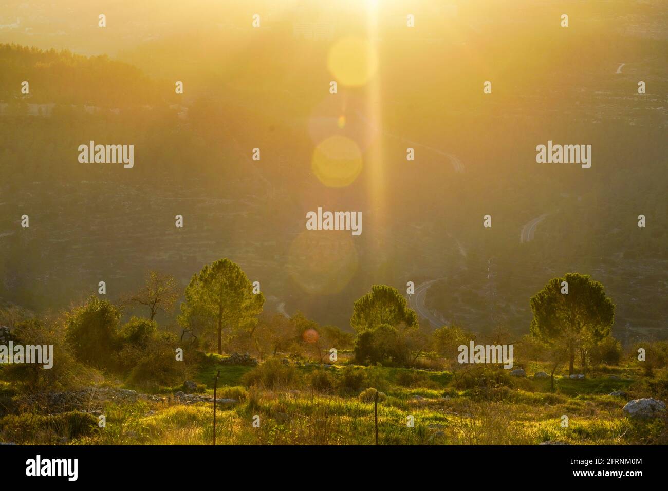 Sataf hi-res stock photography and images - Alamy