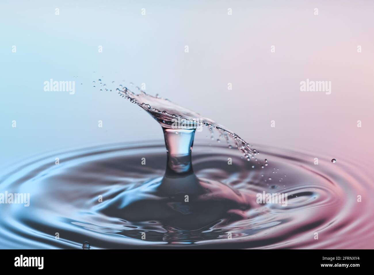 Collision ripple splash of two drops falling into the water Stock Photo ...