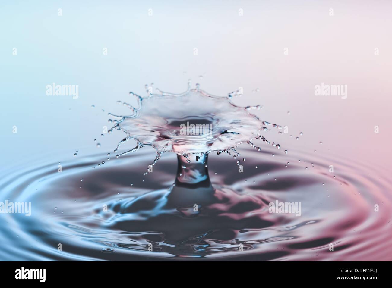 Collision ripple splash of two drops falling into the water Stock Photo ...