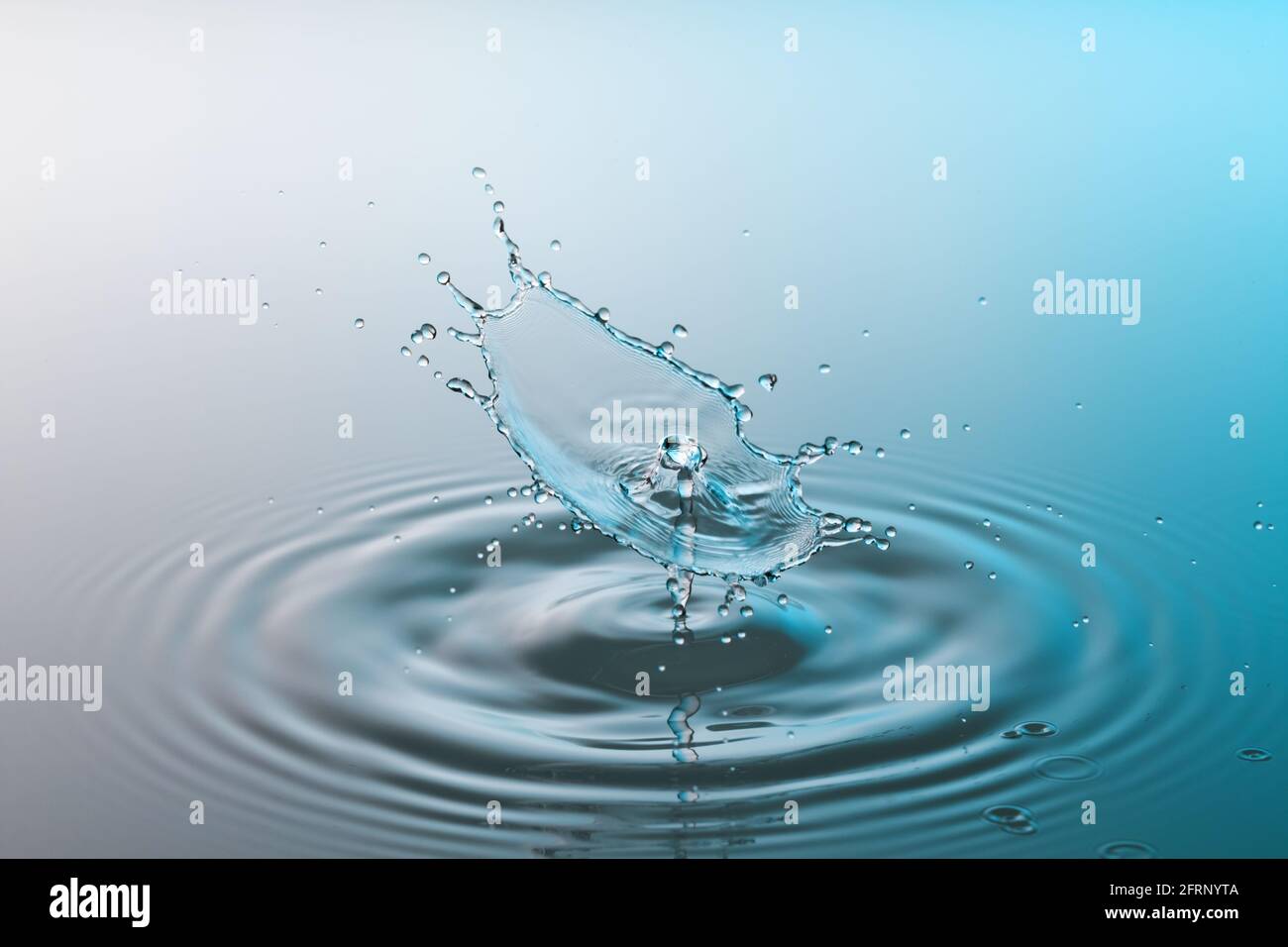 Collision ripple splash of two drops falling into the water Stock Photo ...