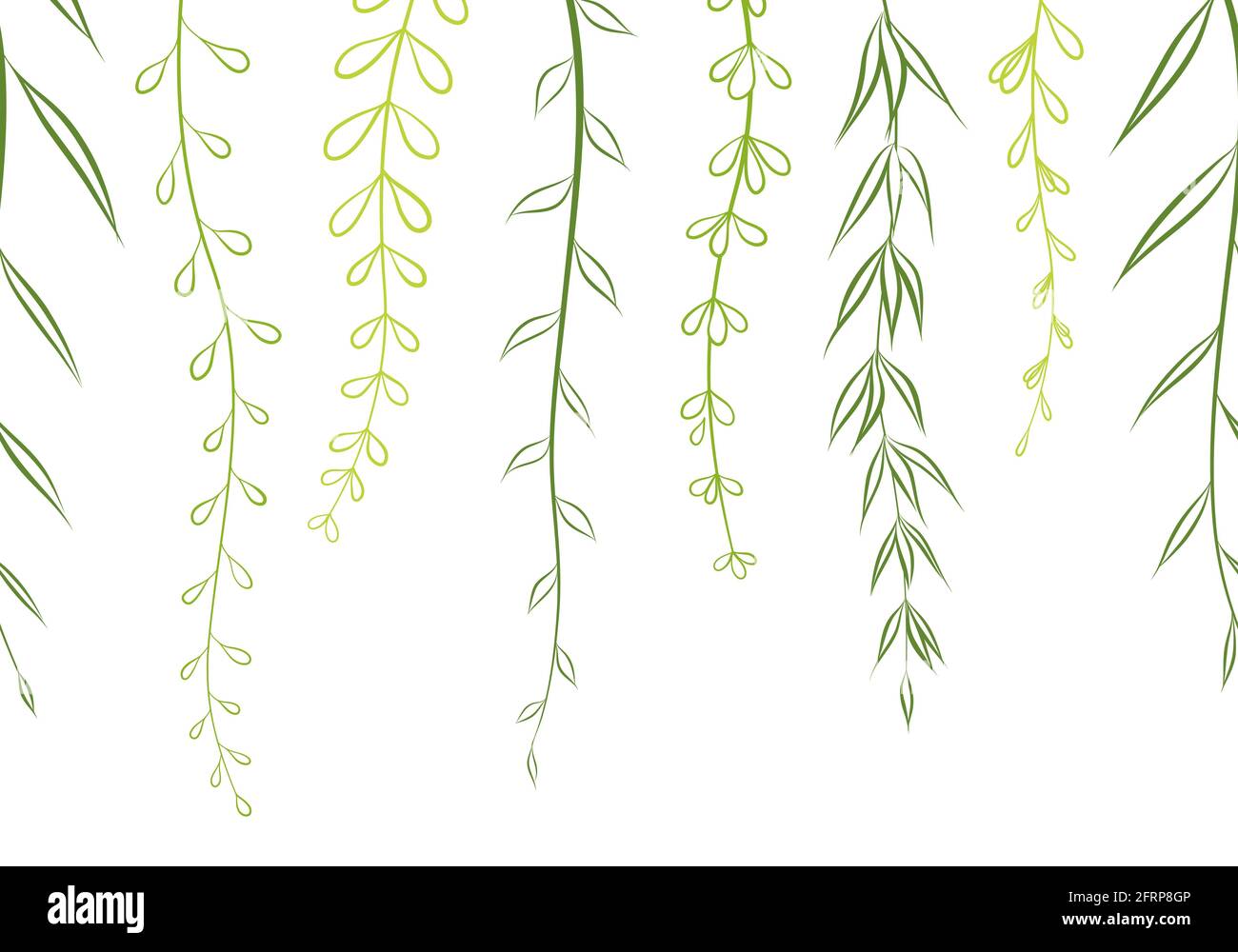 Vector doodle green climbing plants texture. Floral stripes horizontal ...