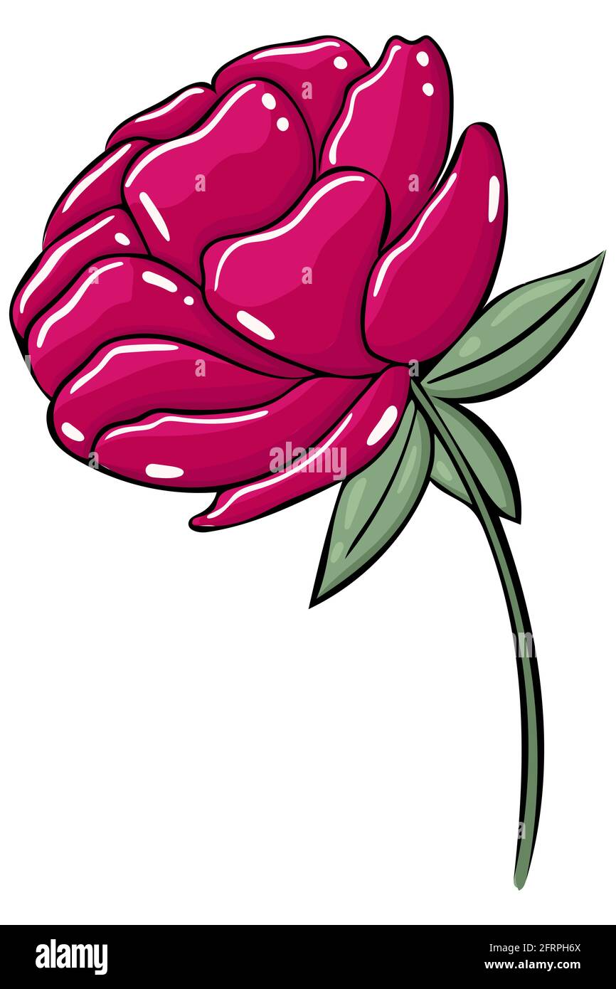 Burgundy flower Stock Vector Images - Alamy