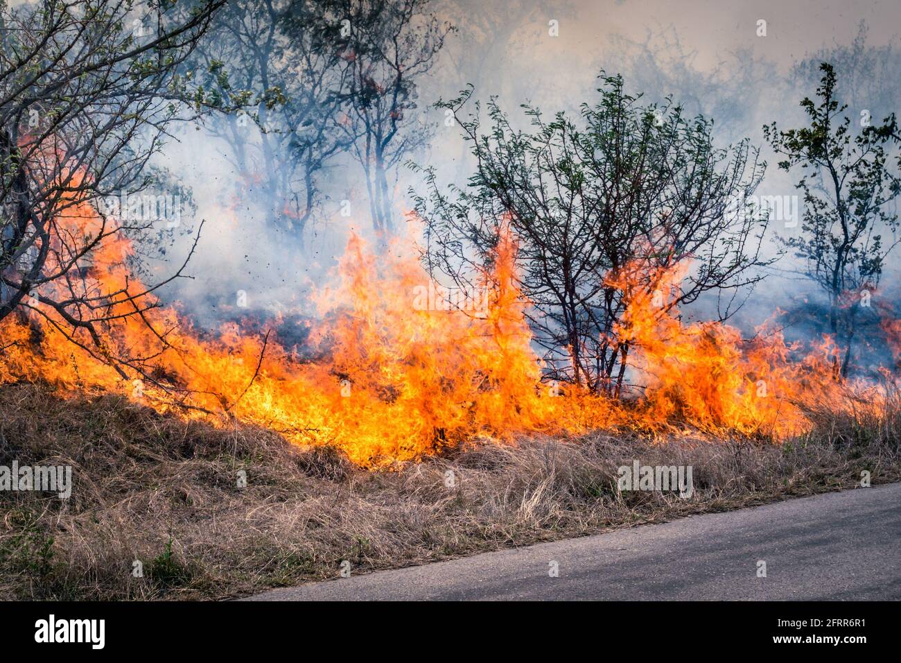 Spontaneous combustion hi-res stock photography and images - Alamy