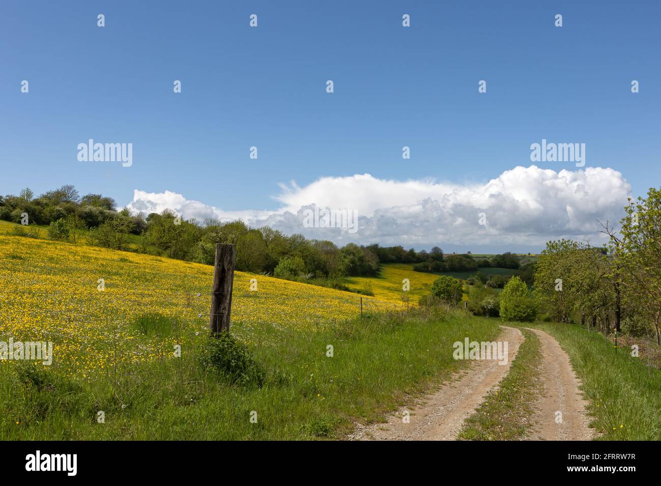 Spring landscape with green fields and meadows Stock Photo - Alamy