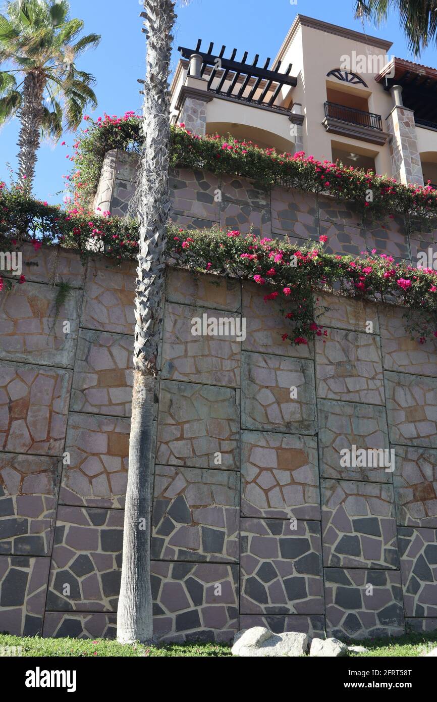 Beautiful architectural building with a high stone fence and palm trees ...