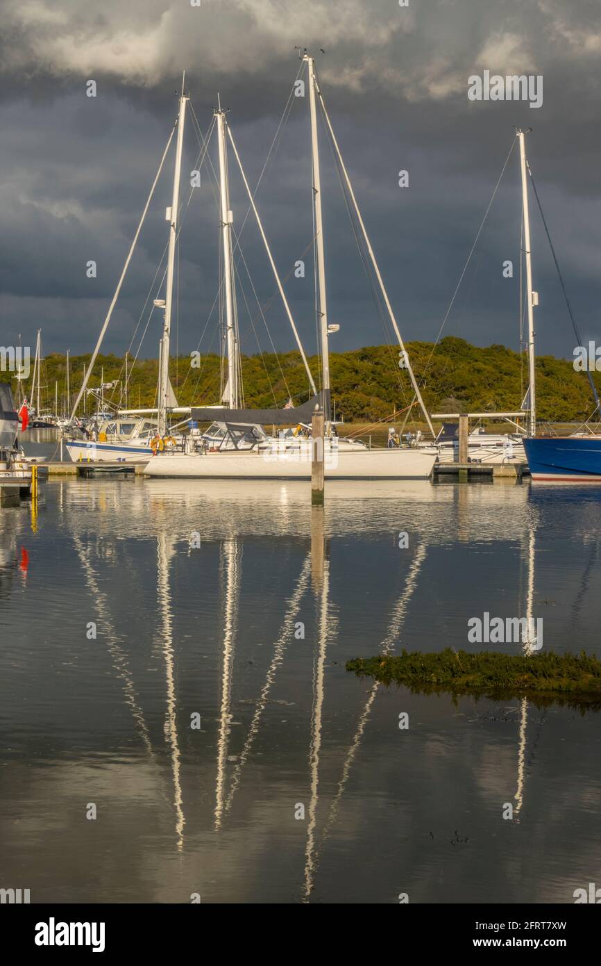 New forest tourist attraction hi-res stock photography and images - Alamy