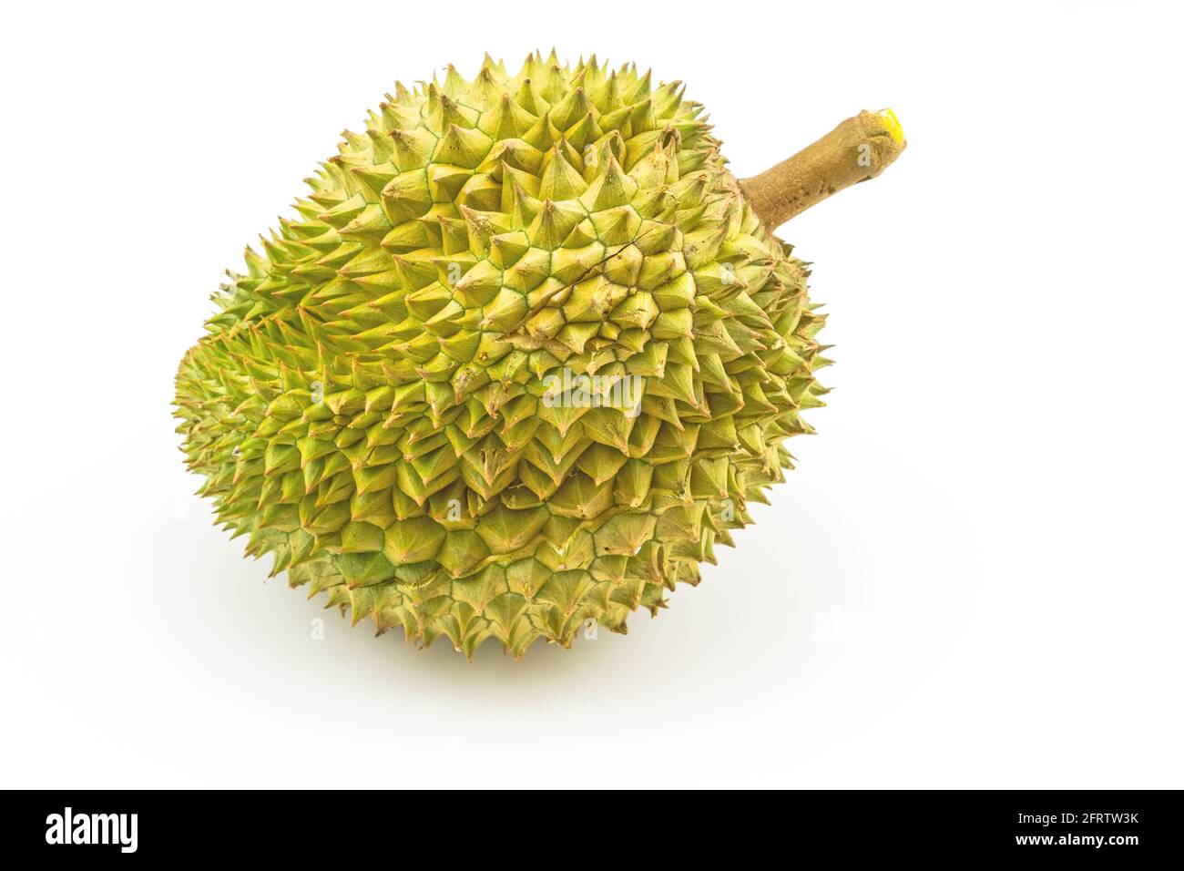 Close up King of fruits, durian isolated on white background Stock ...