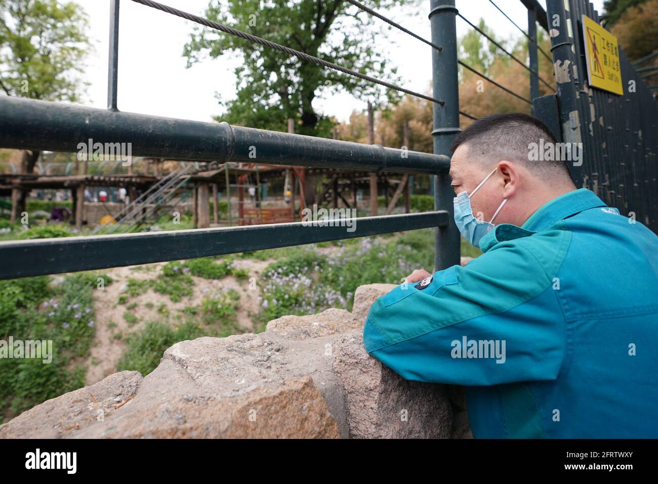 (210521) -- BEIJING, May 21, 2021 (Xinhua) -- Ma Tao observes giant ...
