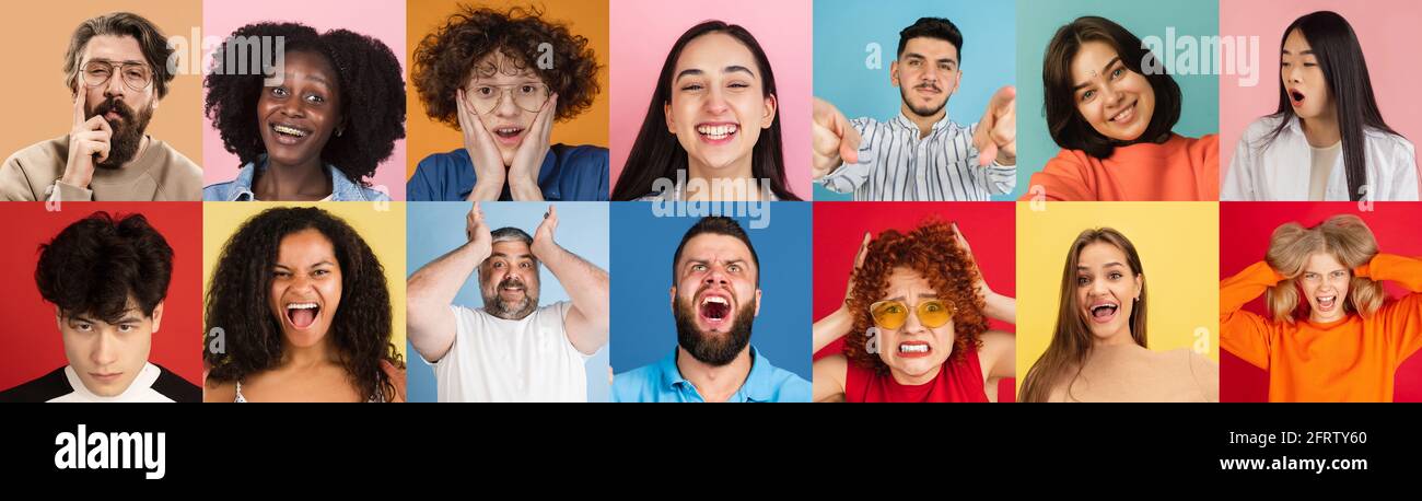 Portraits of group of people on multicolored background, collage Stock ...