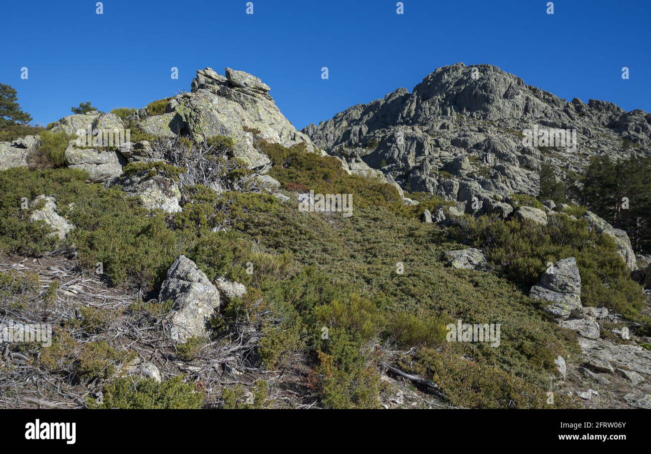 Alpine scrubland hi-res stock photography and images - Alamy