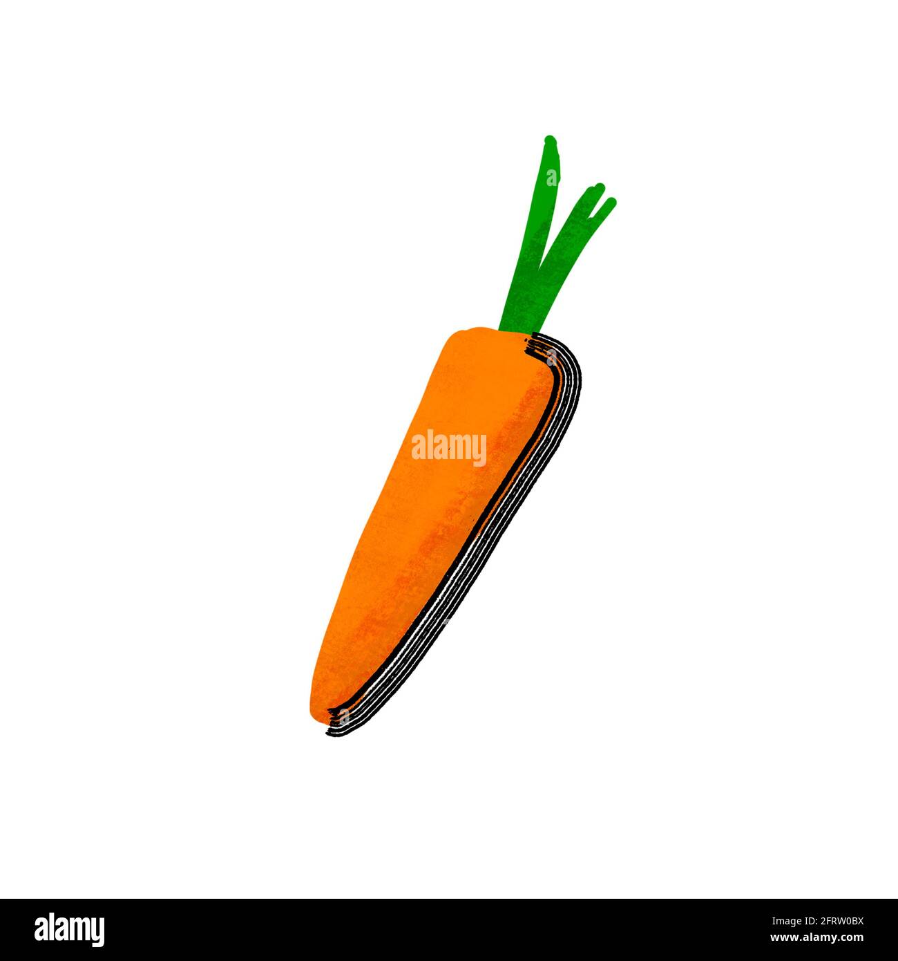 Stylized carrot illustration on white Stock Photo - Alamy