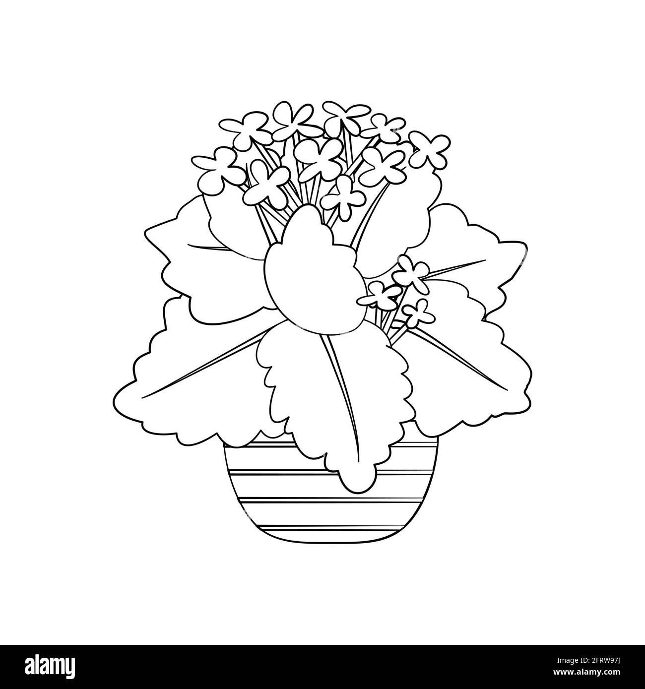 Line art black tropical potted house plant kalanchoe isolated on white ...