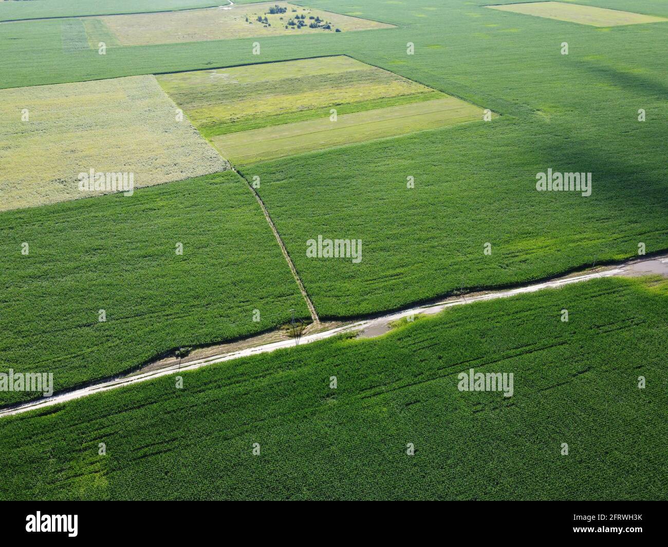 Farmfields from a bird's eye view. Crops of corn, landscape Stock Photo ...