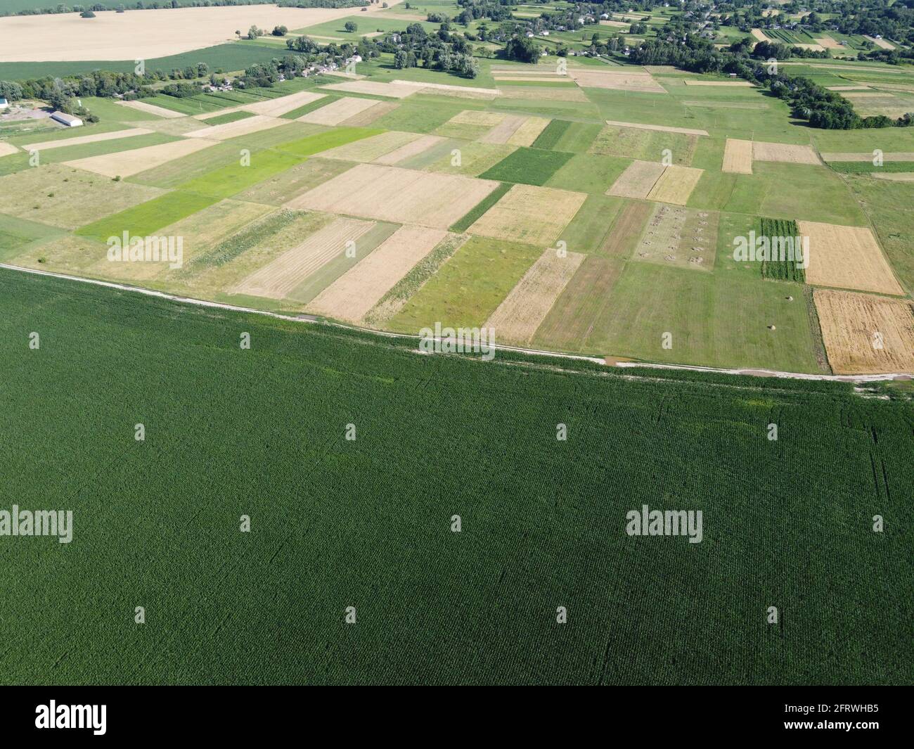 Farmfields from a bird's eye view. Crops of corn, landscape Stock Photo ...