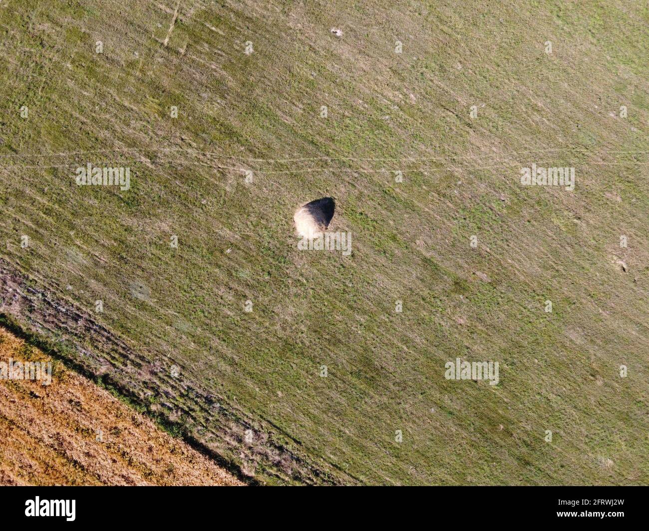 Haystack in a farm field on a warm summer day, top view. Landscape from ...