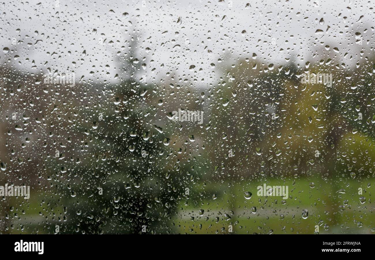 Landscape from inside the window after a storm when heavy rain falls ...