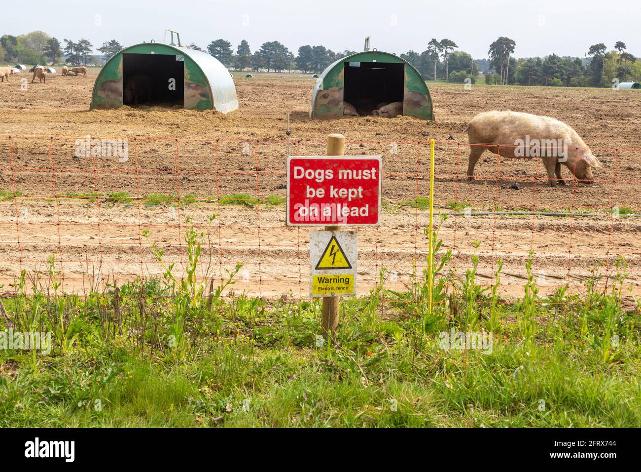 Dogs kept on lead sign hi-res stock photography and images - Alamy