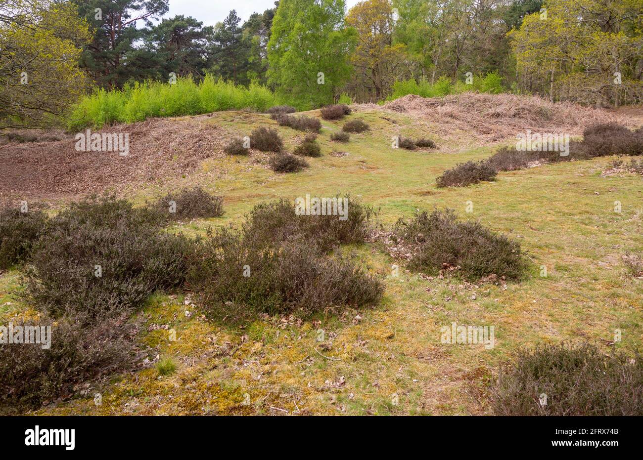 Mound possible neolithic long barrow more likely medieval rabbit warren ...